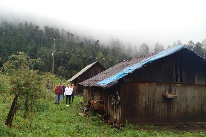 La prole que está lejos | Totalmente Prole